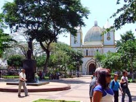 El Almendrón árbol emblemático del Municipio Mariño de Nueva Esparta ...