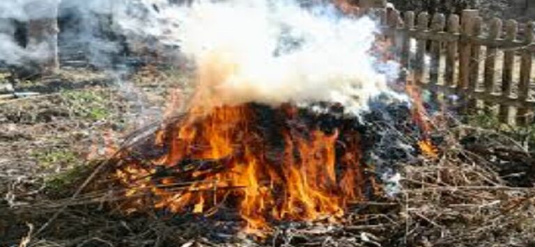 Glosando: El hombre pobre no enamora - Otilca Radio